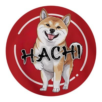 HACHI-KUN Price | HACHI Price Today, Live Chart, USD converter, Market ...